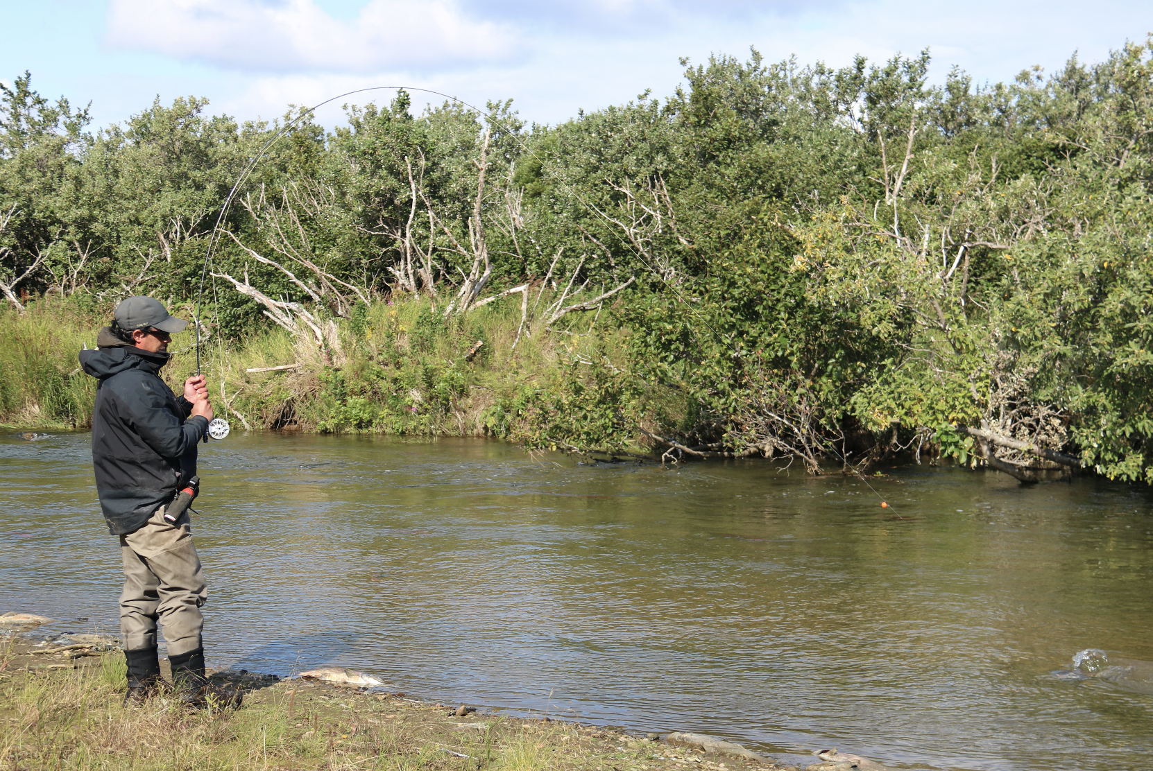 Arctic Grayling: Alaska’s Premier Glamor Fish - Becharof Lodge On The ...
